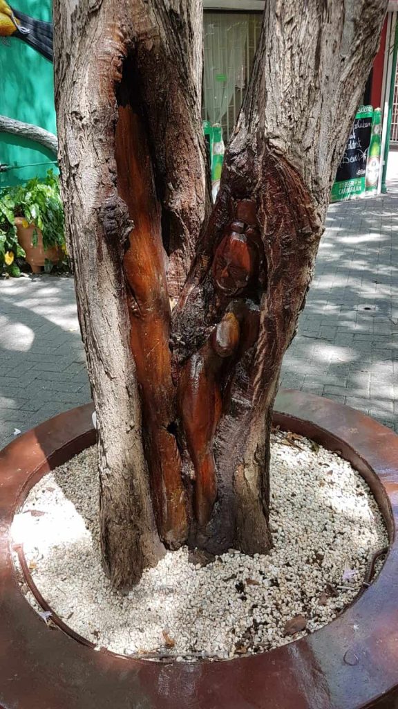 Things to do op Curaçao! Tips van Kristel - Healthz